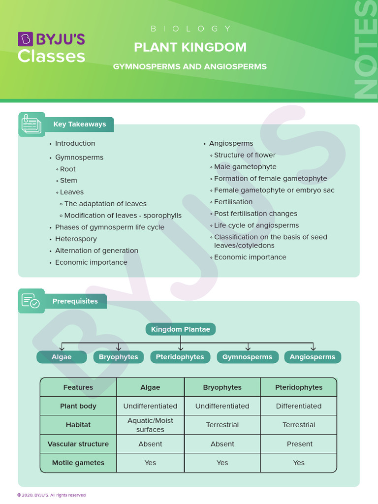 Gymnosperms and Angiosperms.. | PDF | Fertilisation | Reproduction