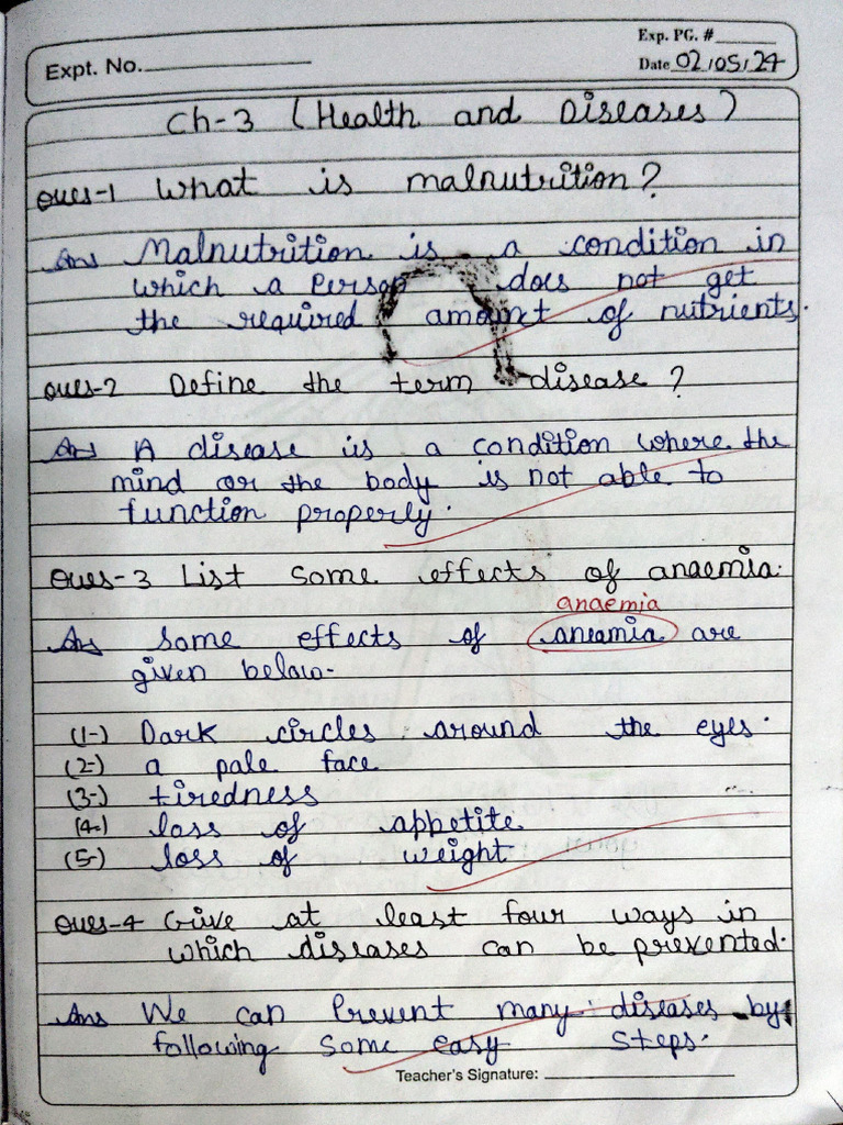 Class 5 EVS Notebook | PDF