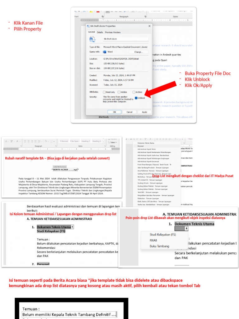 Manual BA Template | PDF