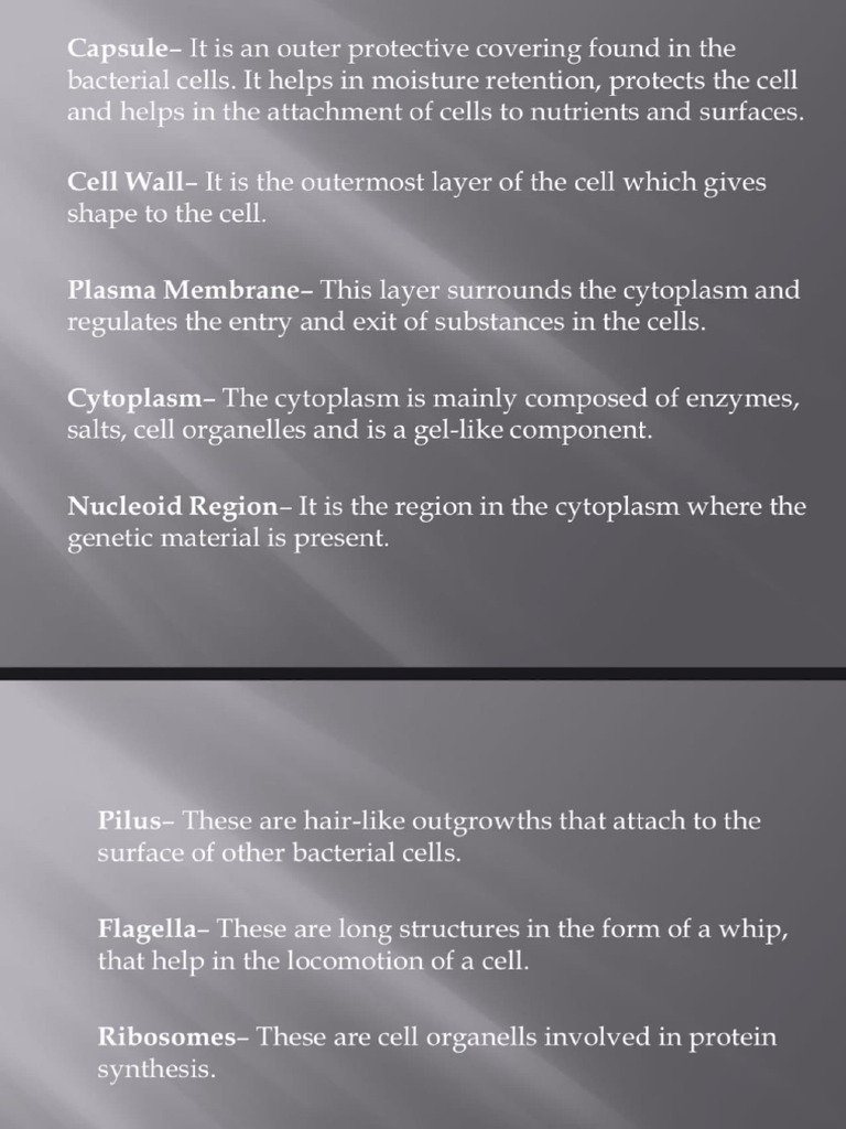 Prokaryotic Cell Notes | PDF