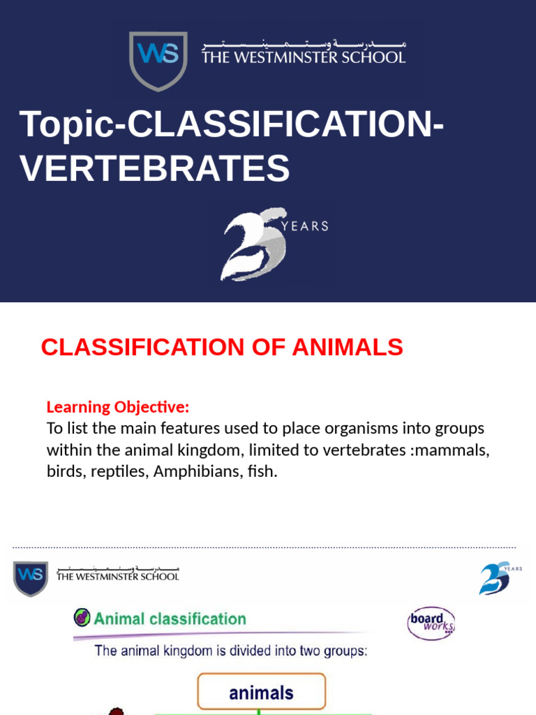 Classification Vertebrates Bio Yr9 | PDF | Reptile | Amphibian