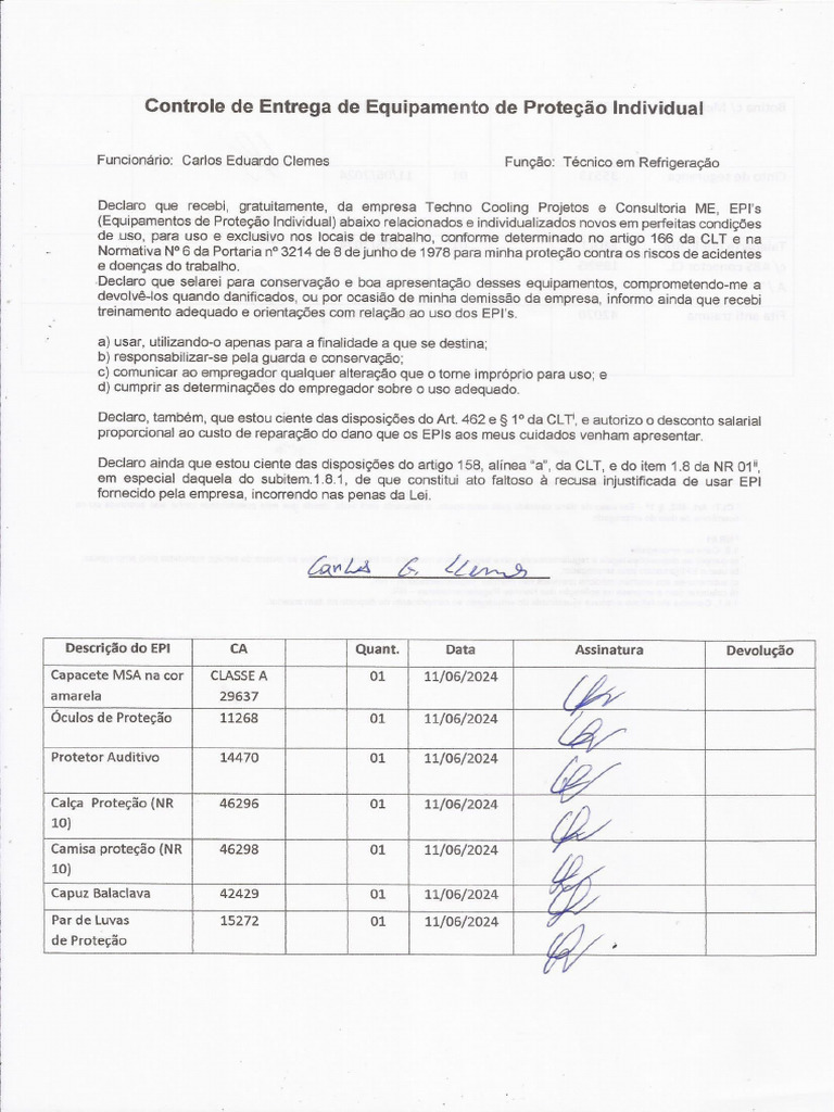 Ficha de EPIs - Carl | PDF