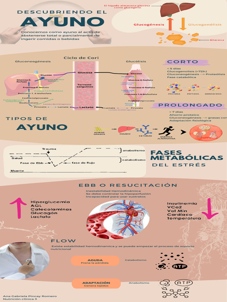 Fisiopatología Del Ayuno Infografia | PDF