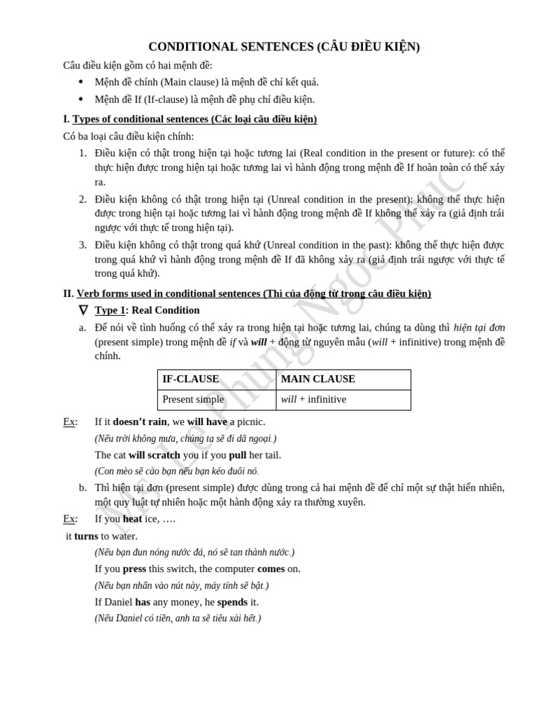 Conditional Sentences | PDF