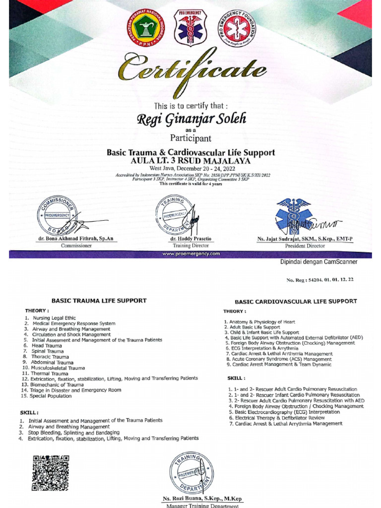 Regi Btcls - Compressed | PDF