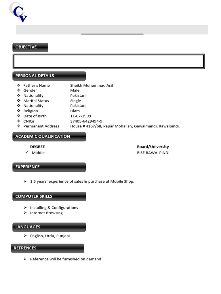 Mustafa CV | PDF