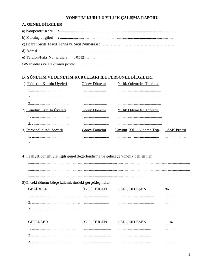 Yönetim Kurulu Faaliyet Raporu Formu | PDF