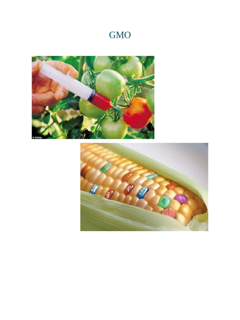 Gmo | PDF