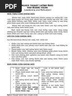 Ashanti Twi Syllabus - 15!10!10 | PDF | Languages Of Africa | Languages