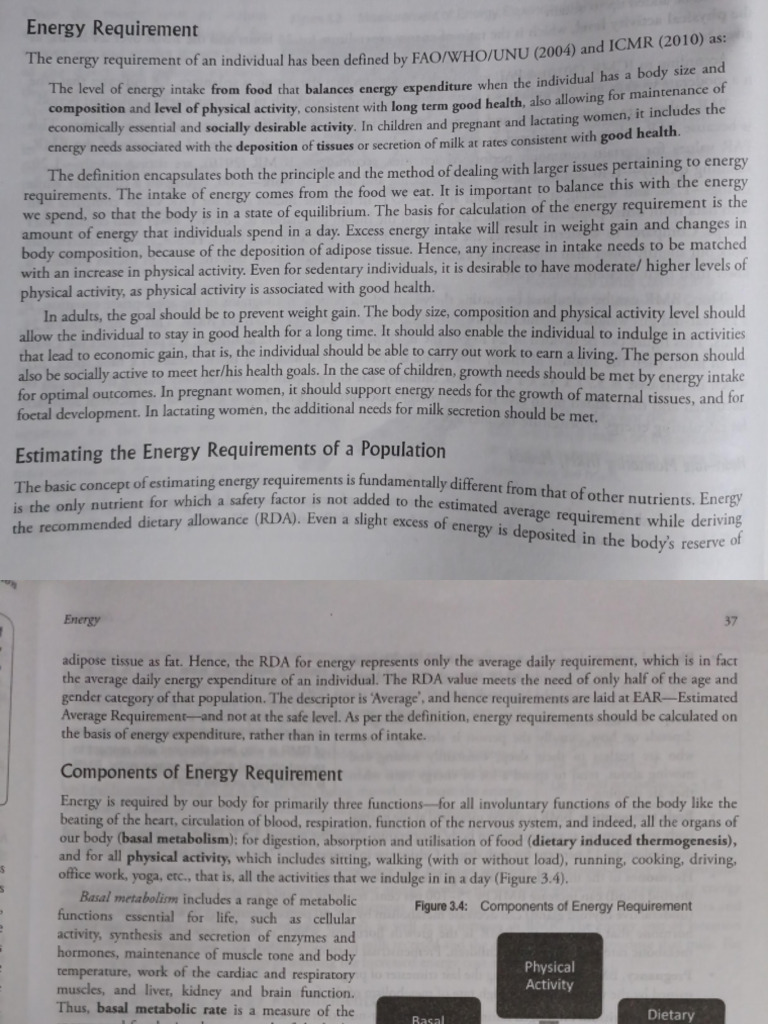 Energy Requirements | PDF