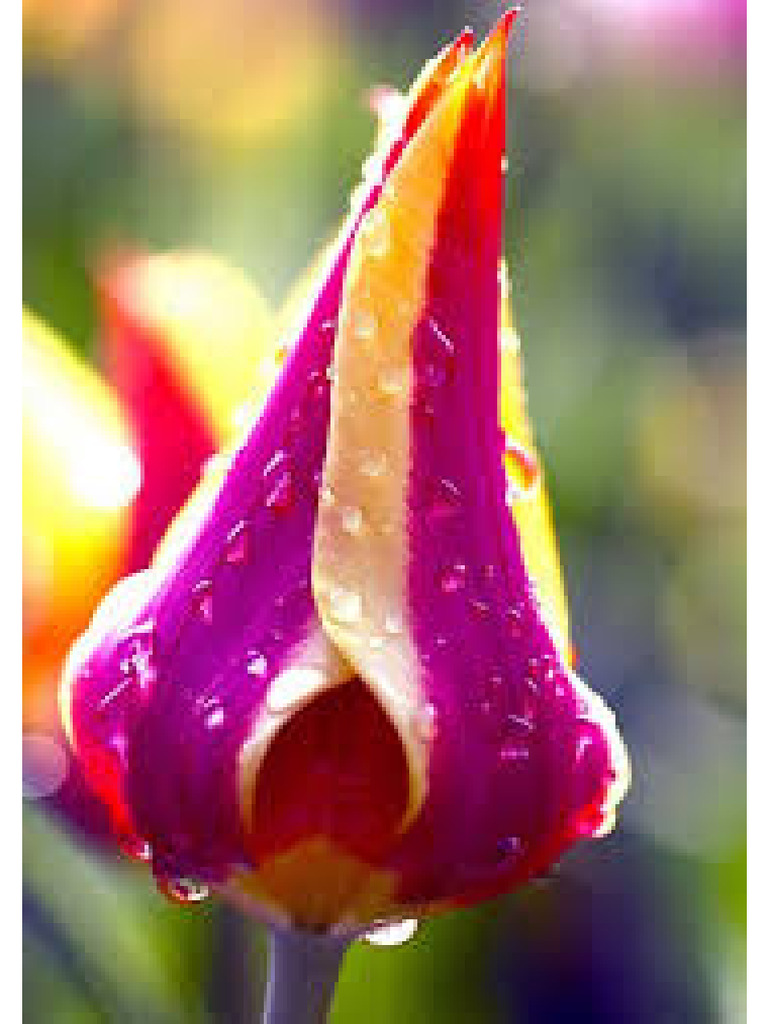 DocScanner 31-Dec-2024 6-35 pm | PDF