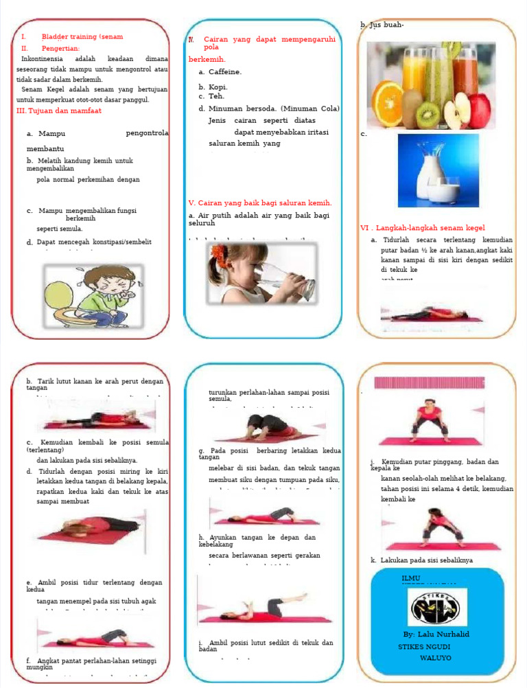 PDF Bladder Training Leaflet 2 - Compress | PDF