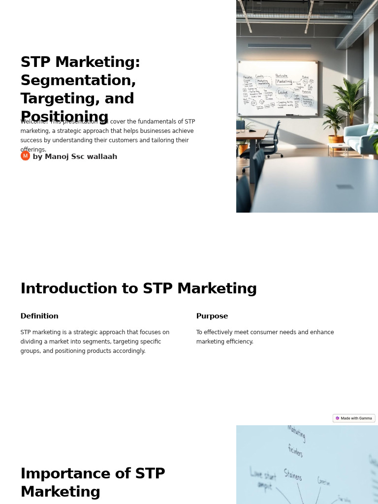 Stp Marketing Segmentation Targeting And Positioning 1 Pdf