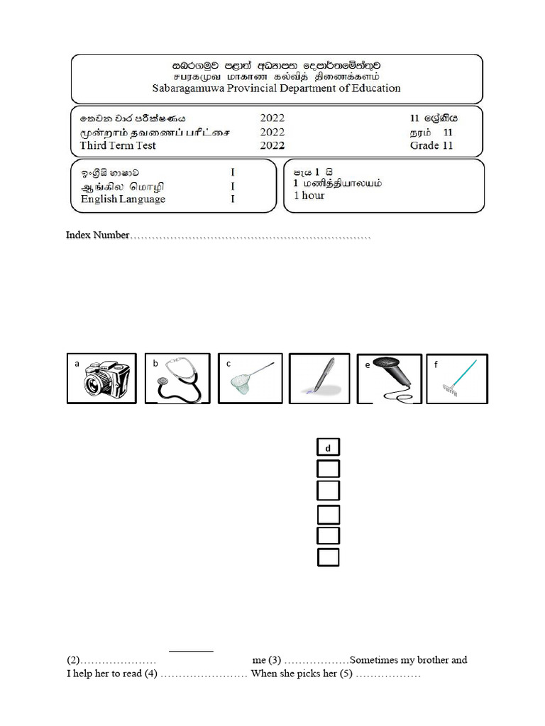 Grade 11 - English Paper - Part I | PDF
