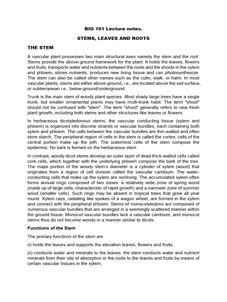 Bio 101 Lecture Note Stems Leaves and Roots | PDF | Plant Stem | Leaf