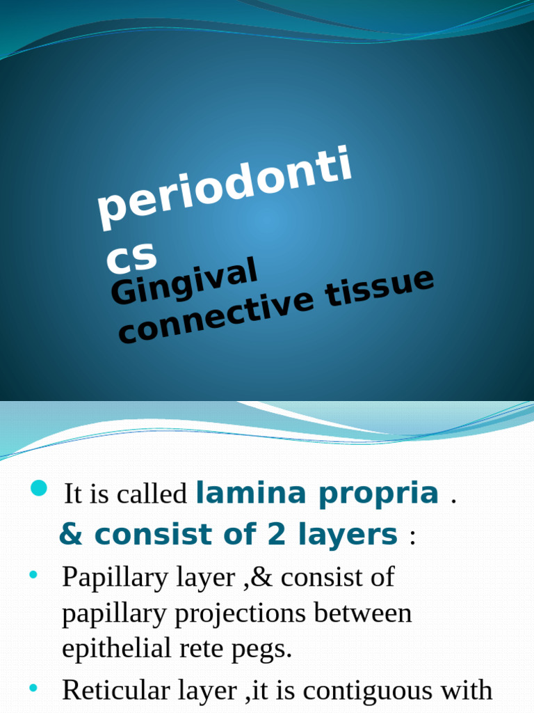 Gingival Connective Tissue | PDF | Connective Tissue | Anatomy