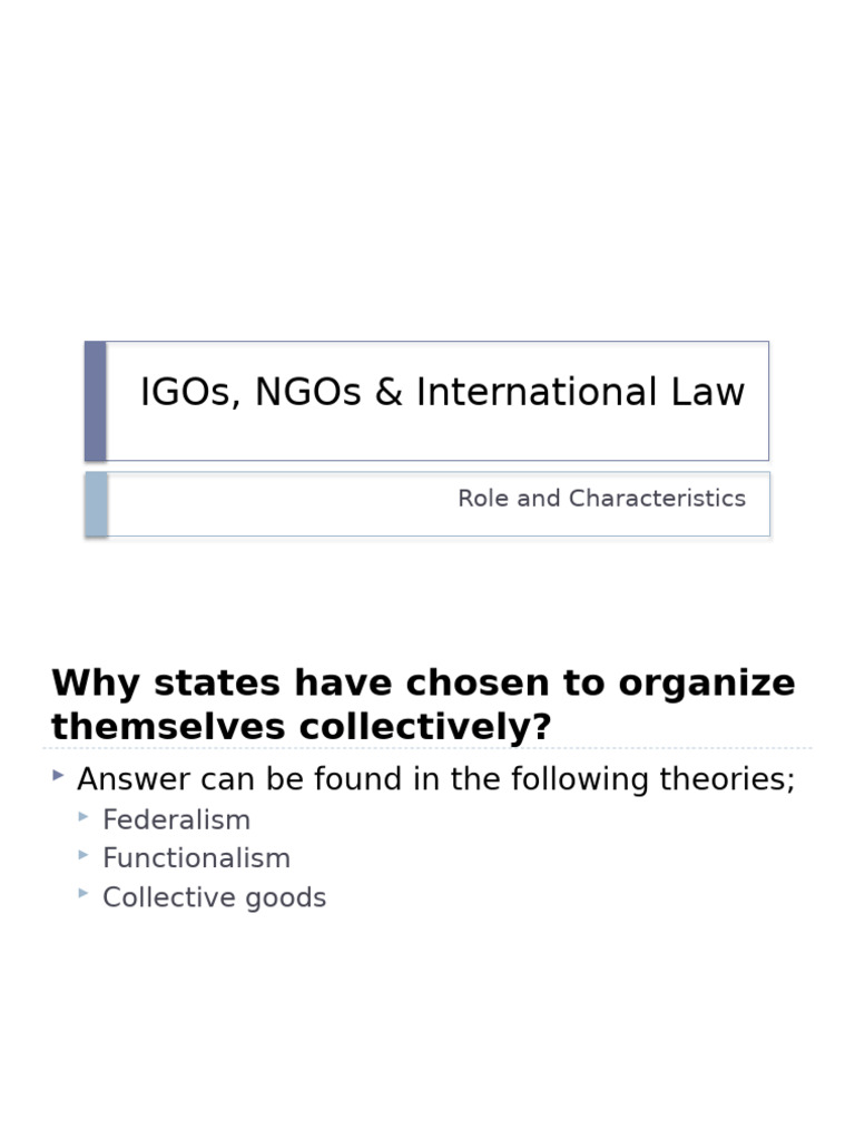 IGOs, NGOs, and International Law Overview | PDF | Non Governmental ...