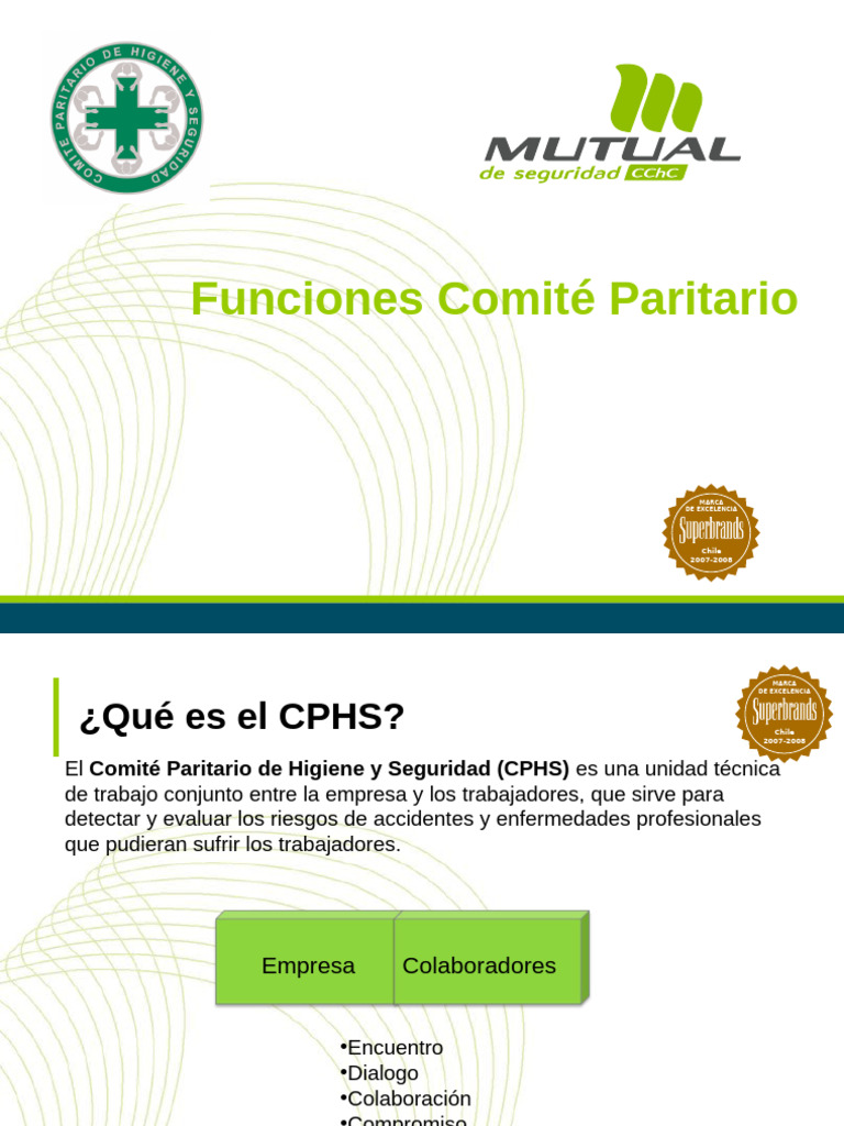 Funciones Comite Paritario | PDF