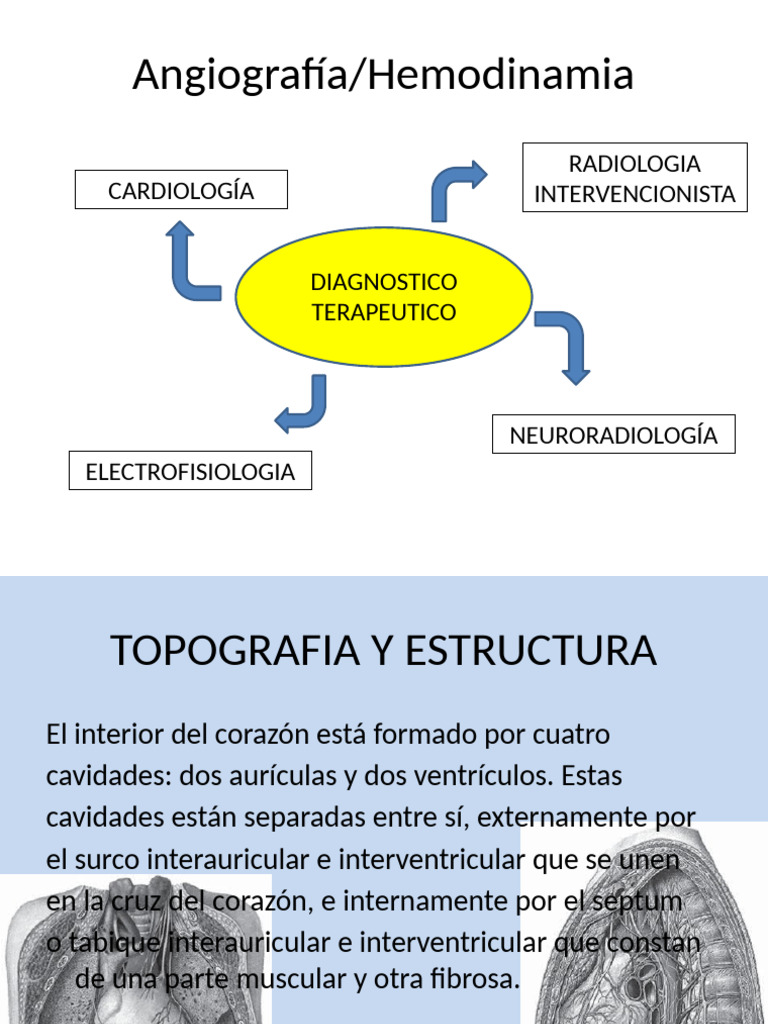 clase 5 HEMOD CARDIO HMC INST | PDF | Corazón | Sistema circulatorio