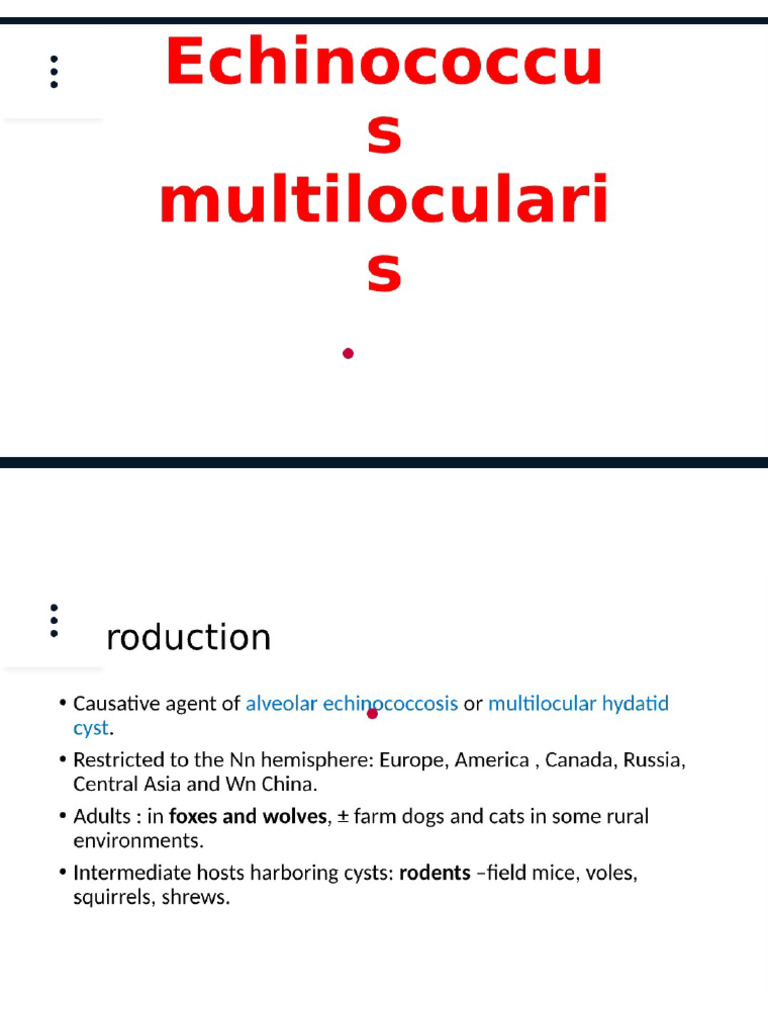 Echinococcus Multilocularis Vogeli &coenurosis | PDF