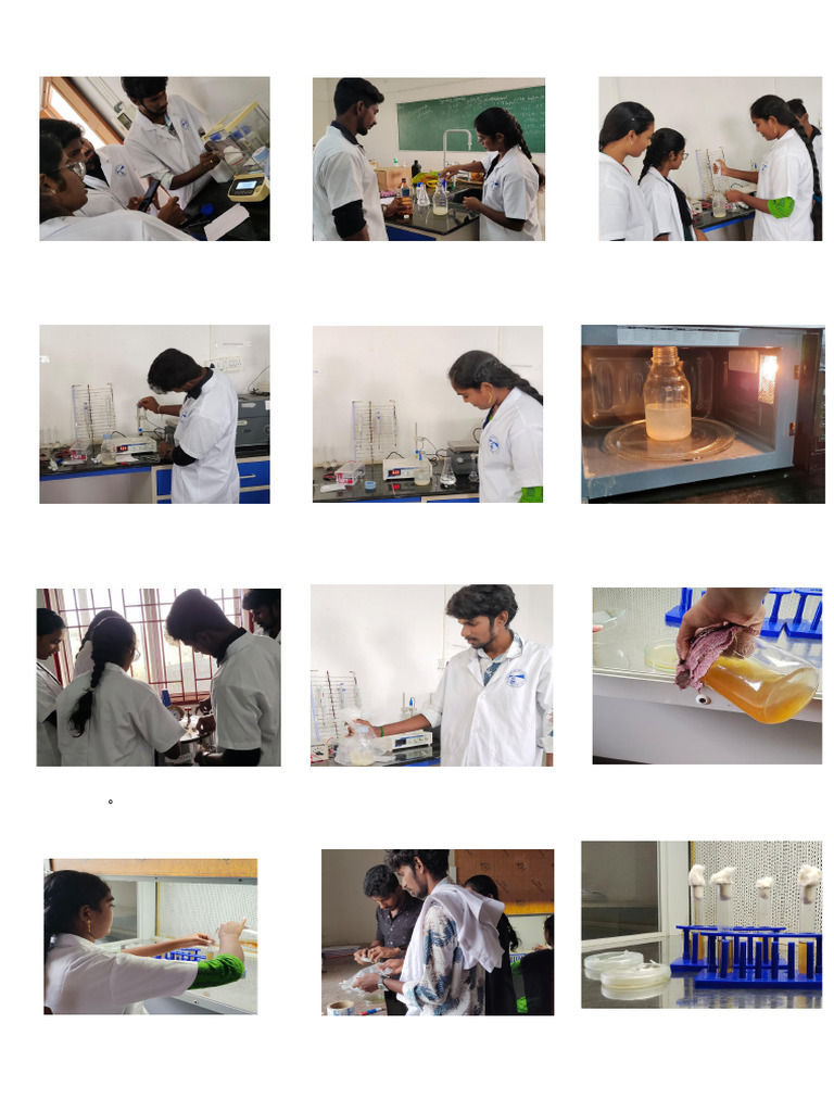Plant Tissue Culture Media Preparation Guide | PDF