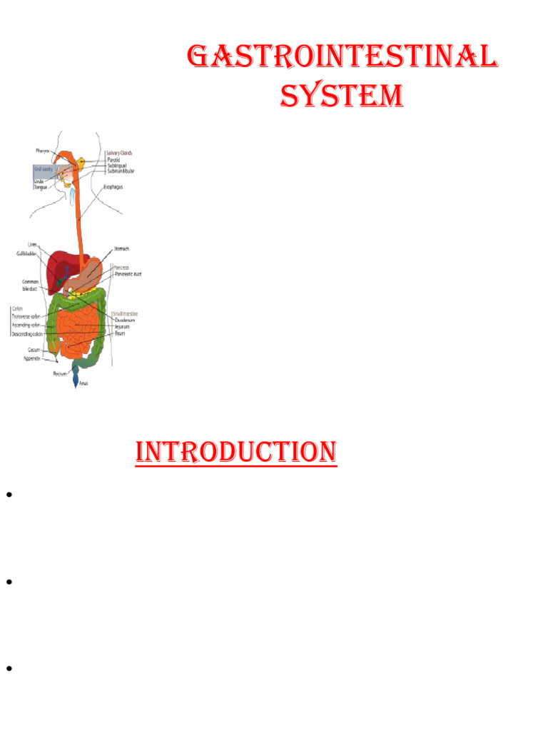 Git 1 Pdf Gastrointestinal Tract Stomach