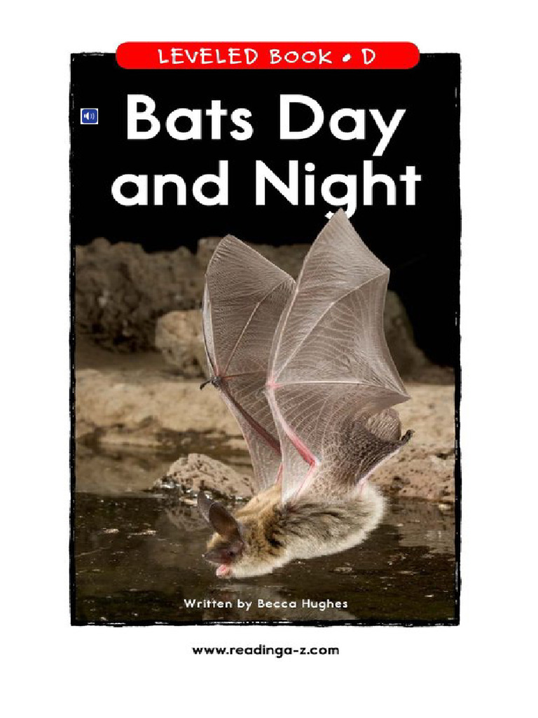 Bats Day and Night | PDF