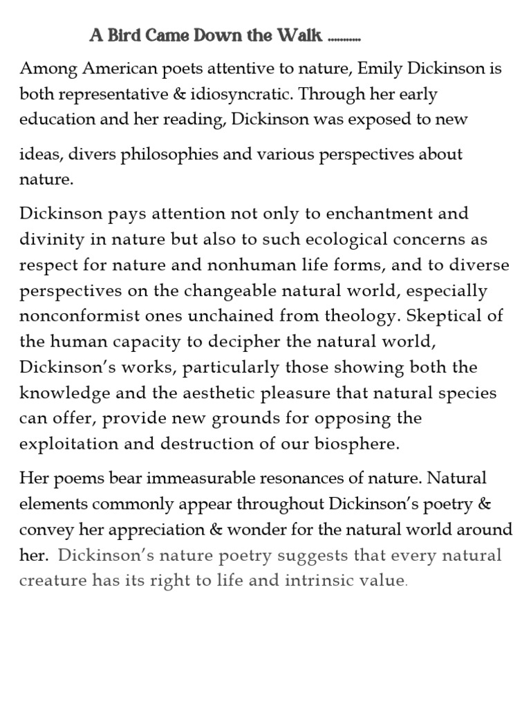 A Bird Came Down the Walk | PDF | Nature