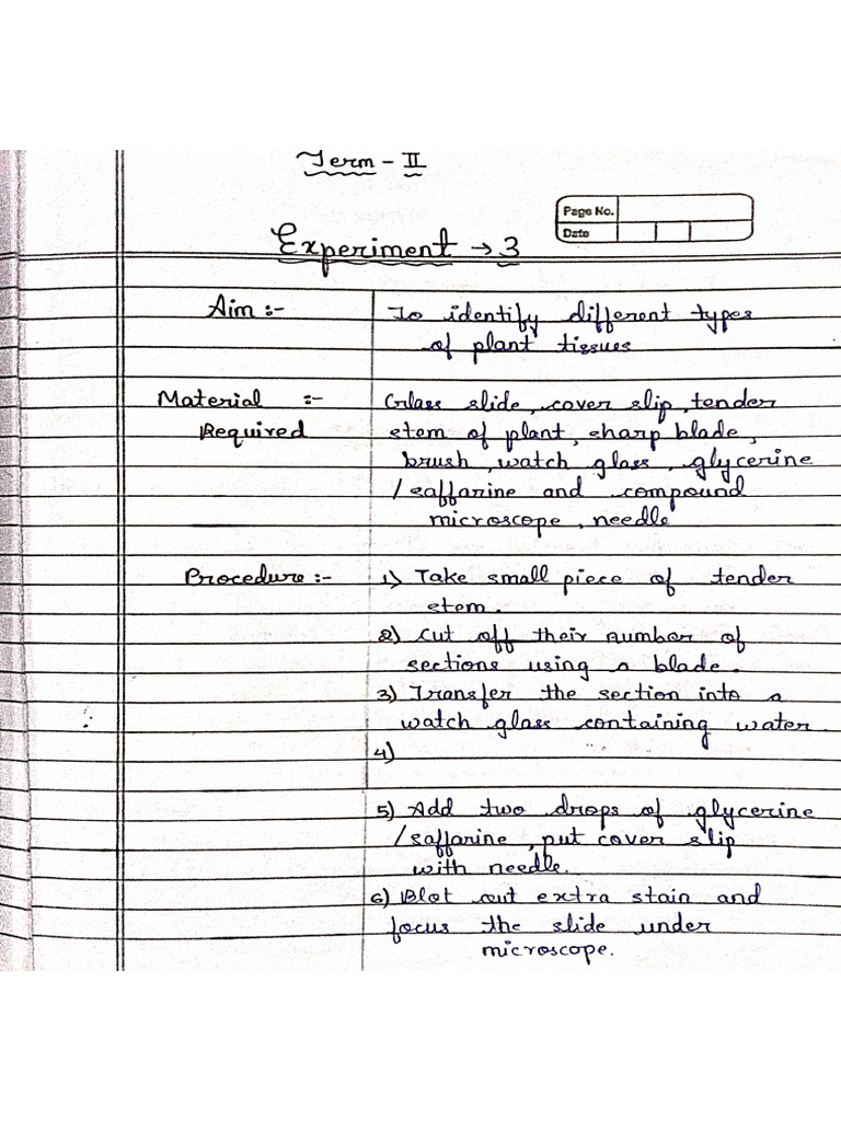 Bio Experiment PDF | PDF