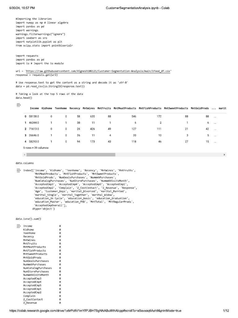 Customer_segmentation_analysis | PDF