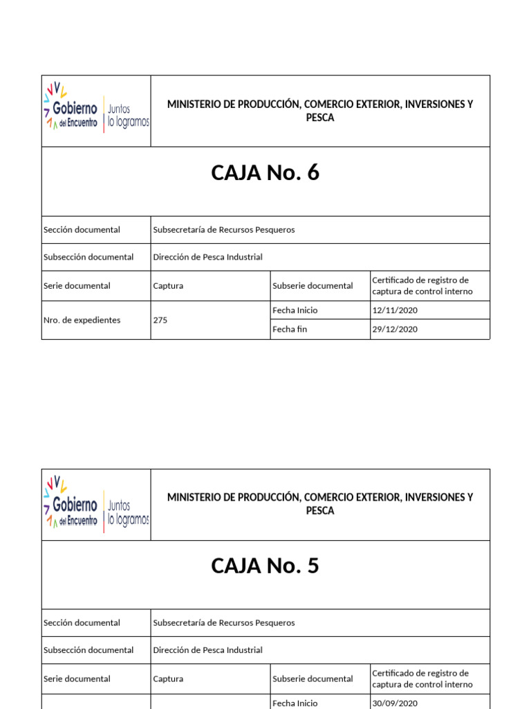 Formato Caja 2019, 2020 | PDF