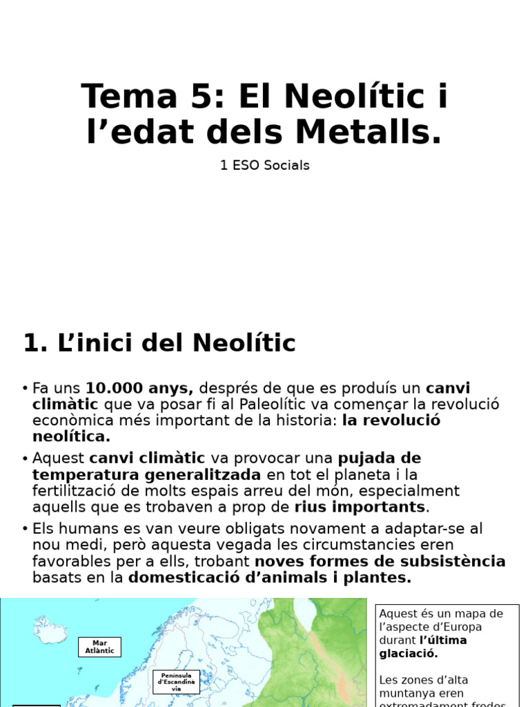 4647 Tema 5 Neolitic | PDF