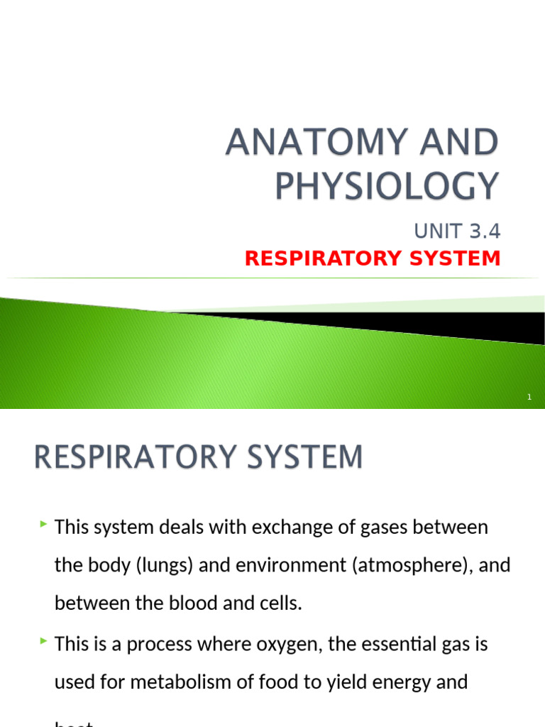 Unit 3.4 Respiratory System 1,23 | PDF | Human Nose | Larynx