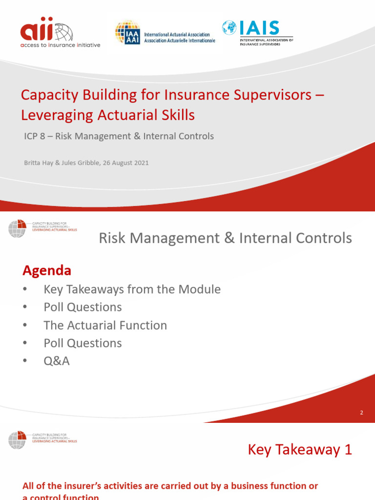 Risk Management & Internal Controls in Insurance | PDF | Internal ...