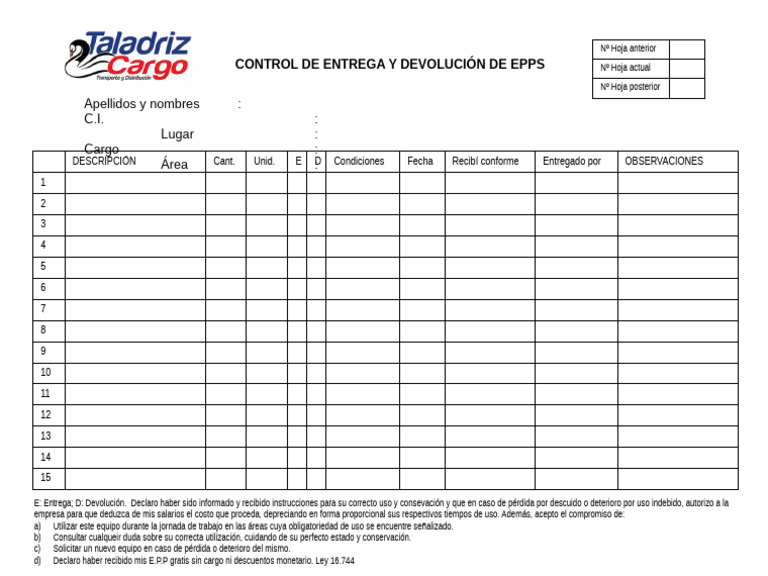 Control de Entrega de EPPS | PDF