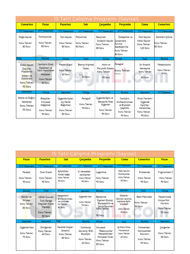 YKS Sayisal SAY 15 Tatil Calisma Programi Indir WWW Osymli Com PDF | PDF