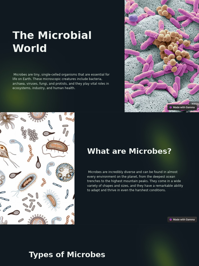 Introduction to the Microbial World | PDF | Microorganism | Fermentation