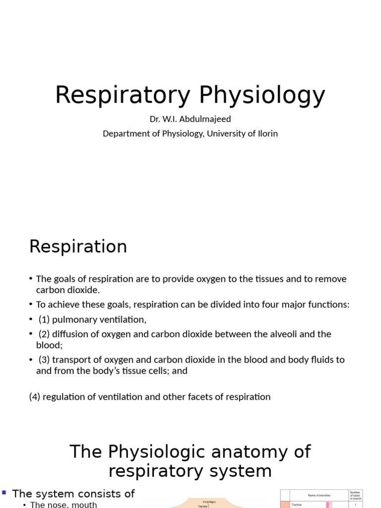 Respiratory Physiology - 1 | PDF | Respiratory Tract | Exhalation