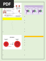 ACE Inhibitor Dose Conversion Guide | PDF | Drugs | Hypertension