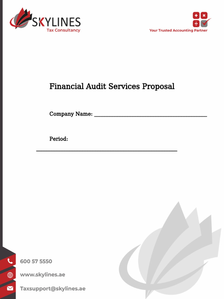 Financial Audit Proposal | PDF | Audit | Risk