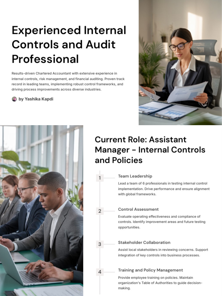 Experienced Internal Controls and Audit Professional | PDF | Audit ...