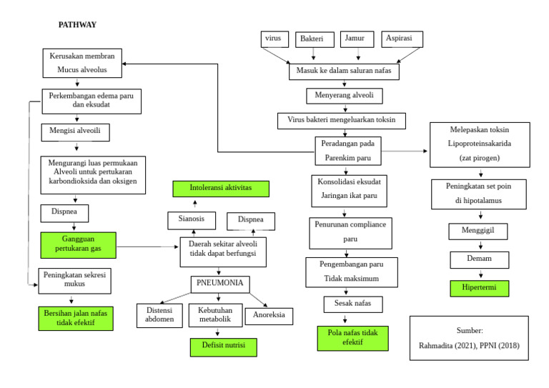 Pathway Pneumonia Manual Khasan | PDF