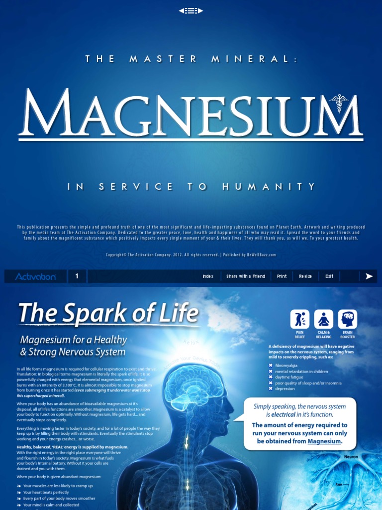 Magnesium: The Master Mineral | Download Free PDF | Heart | Magnesium