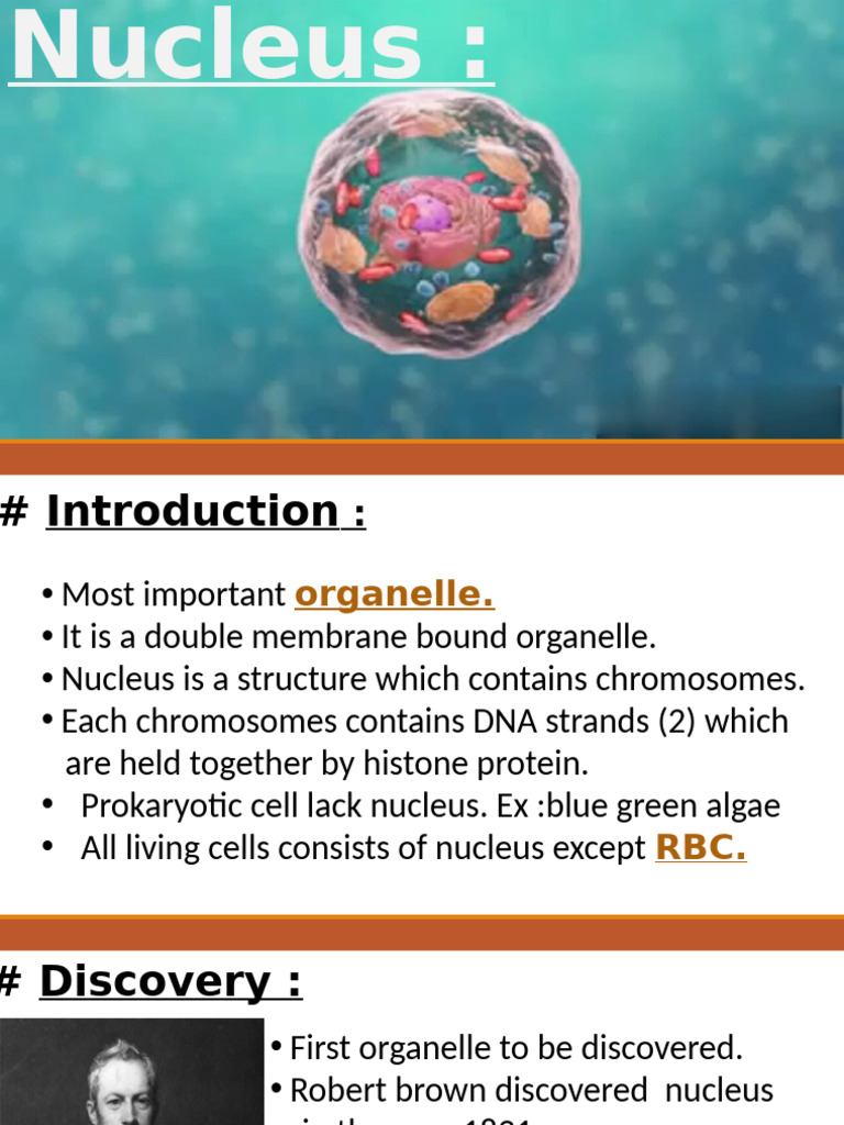 nucle (3) | PDF | Cell Nucleus | Cell (Biology)