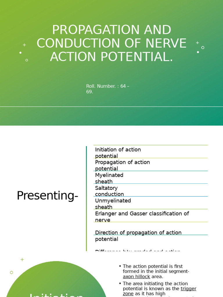 Nerve Action Potential | PDF | Action Potential | Myelin