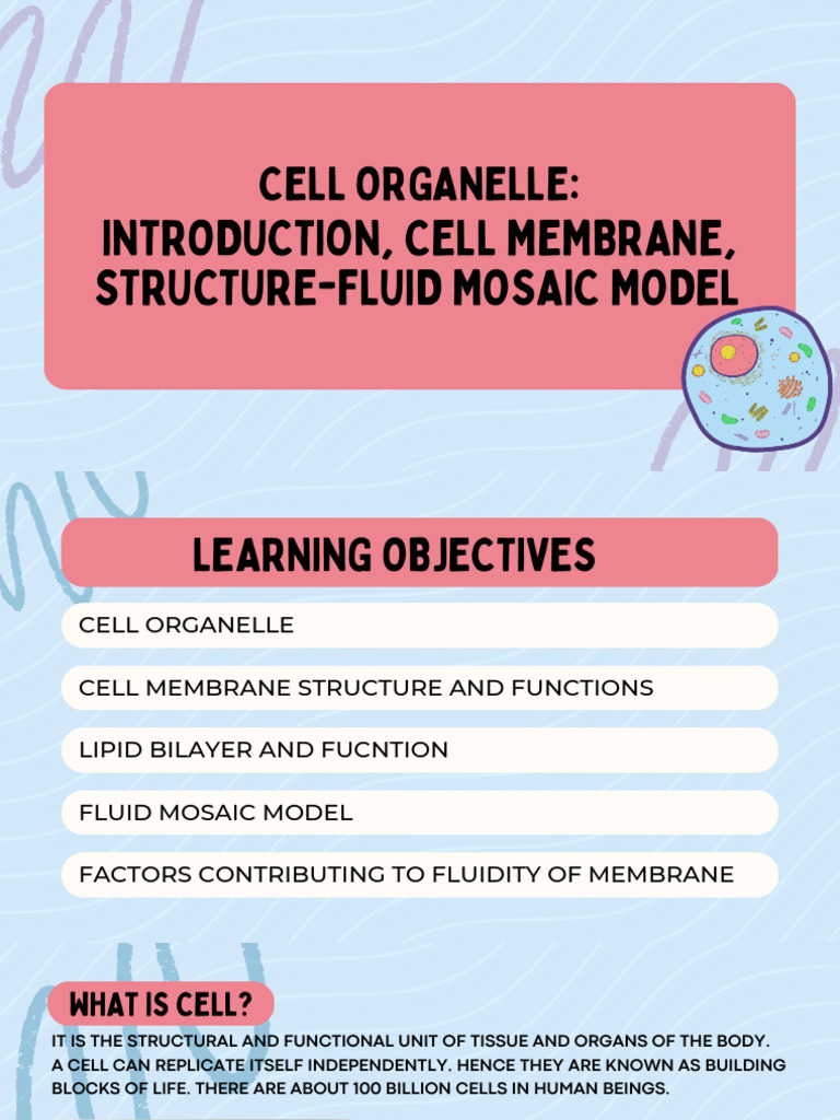 Cell Organelles & Structures Lesson Presentation in Blue and Pink Hand ...