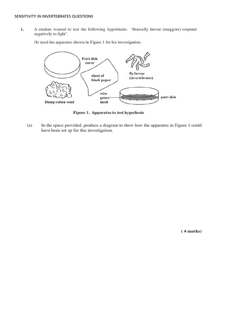 23 24 Sensitivity Inverte & Plants | PDF