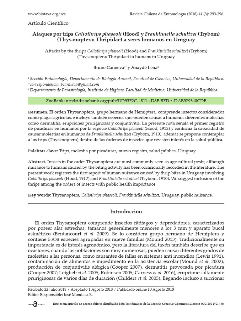 Ataques Por Trips (Hood) y (Trybom) (Thysanoptera: Thripidae) A Seres ...