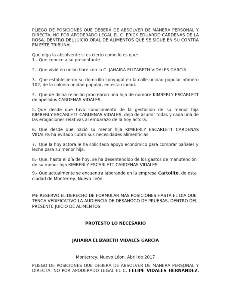 PLIEGO DE POSICIONES | PDF