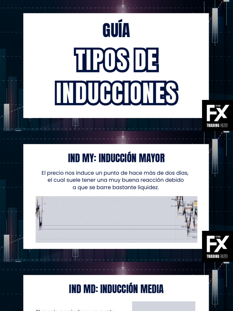 GUÍA - TIPOS DE INDUCCIONES | PDF